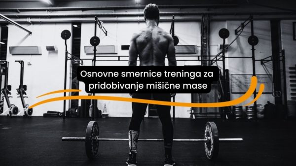 Osnovne Smernice Treninga Za Pridobivanje Mišične Mase Matjazerjavec Si